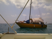 Comet285.it - Comet 770 - Malia